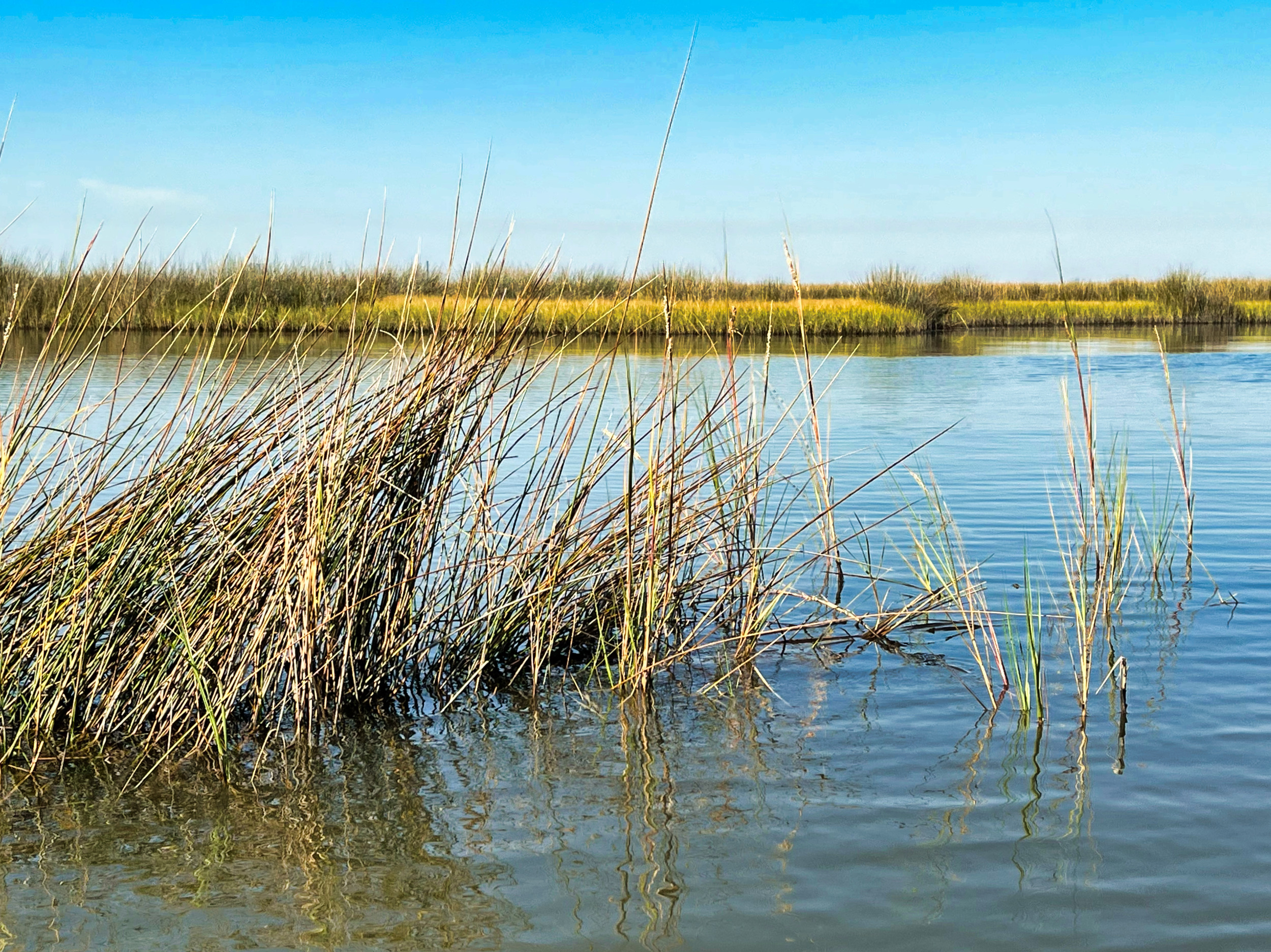 Fly Fishing the Gulf Coast: Expert Tips and Locations from an Orange ...