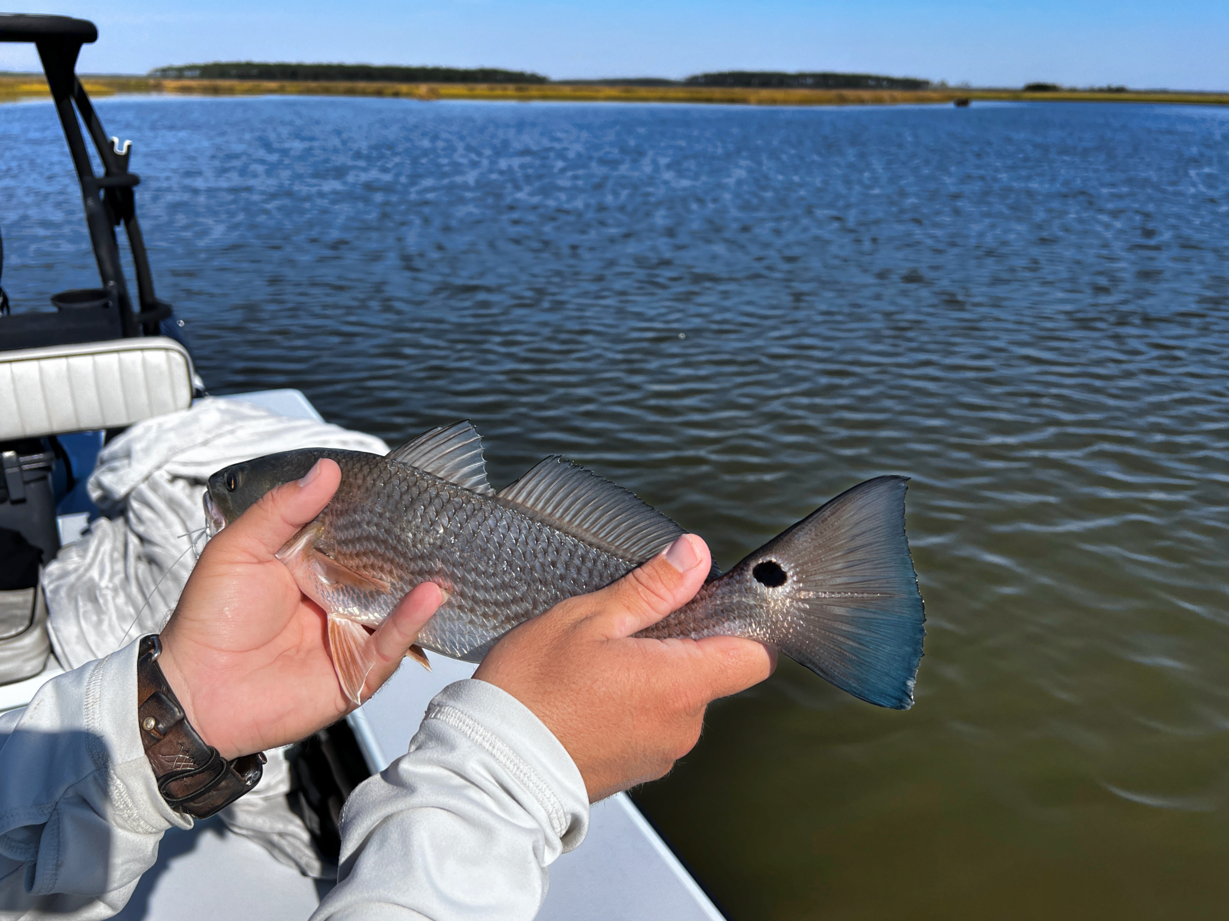 Fly Fishing the Gulf Coast: Expert Tips and Locations from an Orange ...